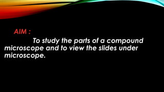 micrscope.pptx NCSIM Kriya Shareera Practical | PPTX