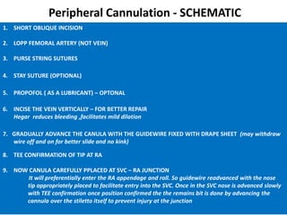 Mics | PPTX | Heart and Cardiovascular Diseases | Diseases and Conditions