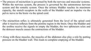 MICTURATION.pptx