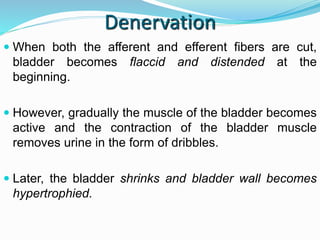 micturation2020.pptx