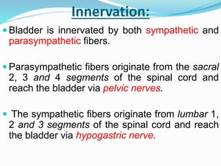 micturation2020.pptx