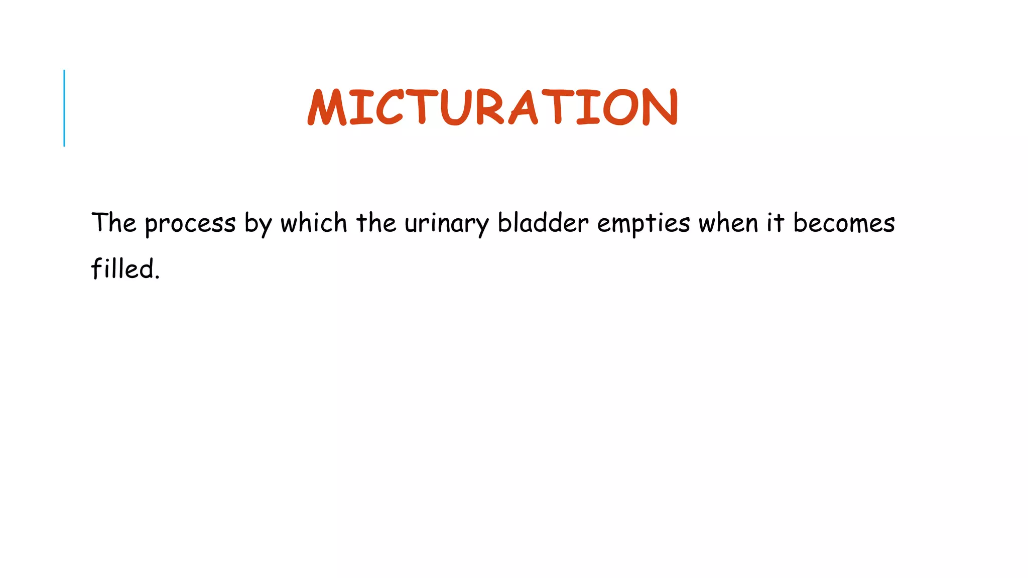 Micturation reflex | PPTX