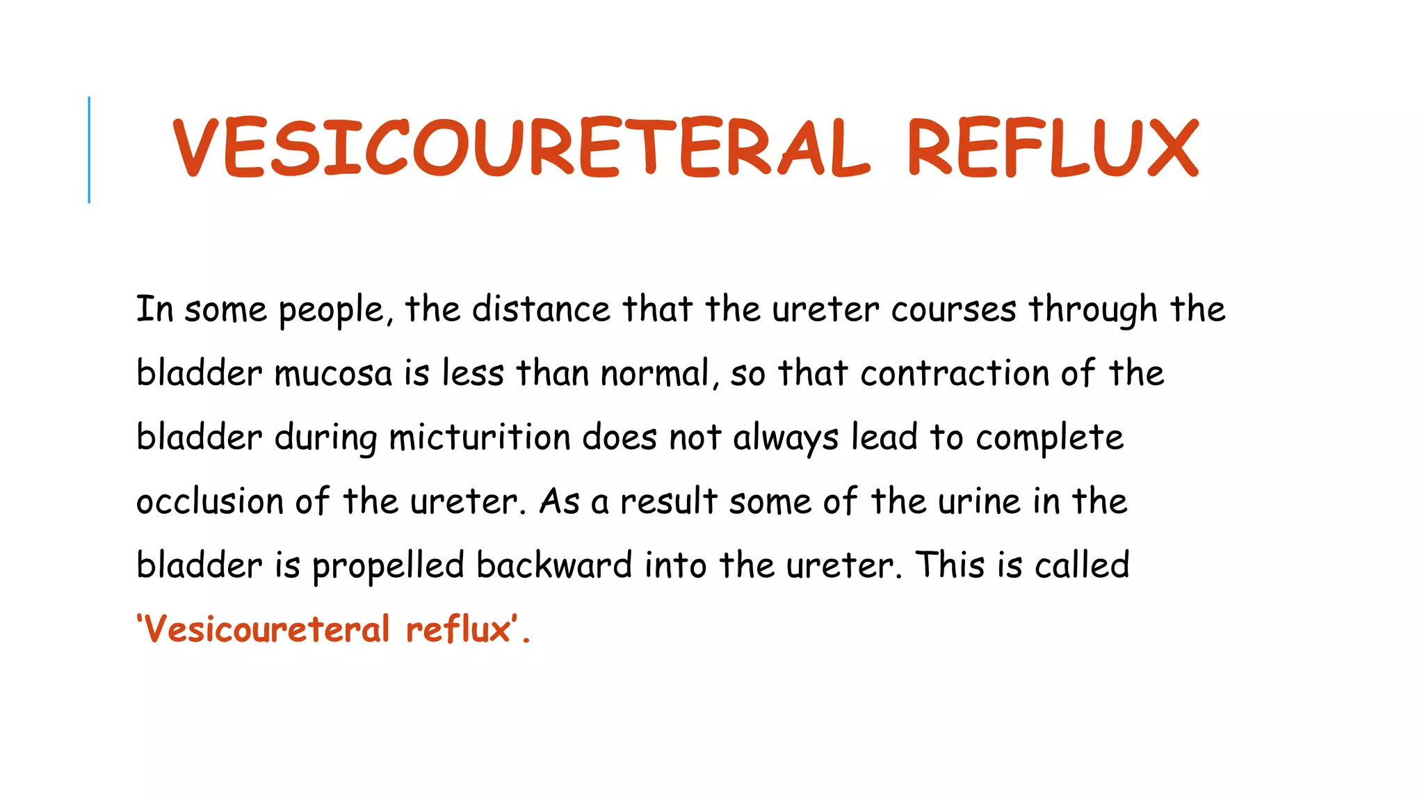Micturation reflex | PPTX