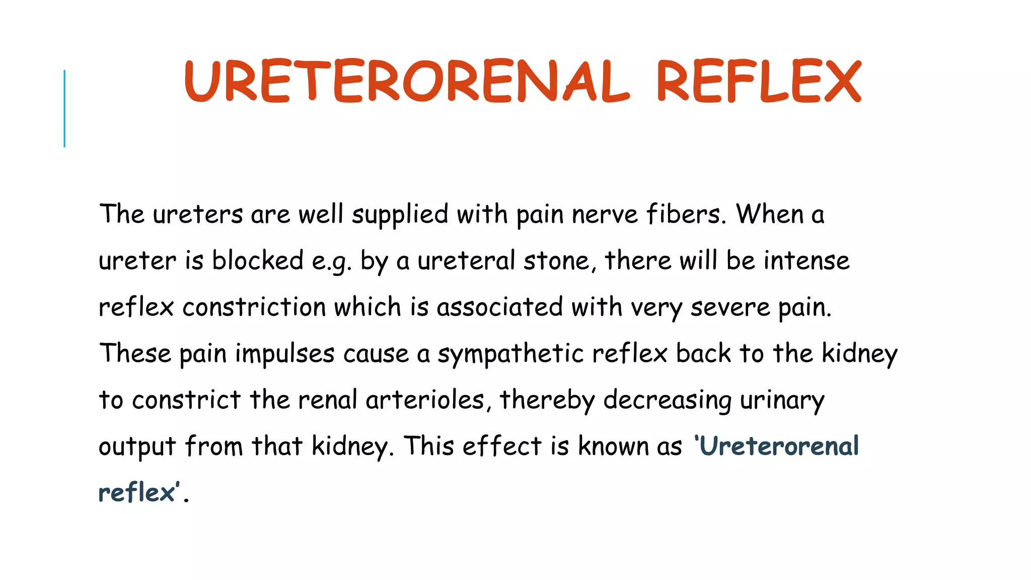 Micturation reflex | PPTX