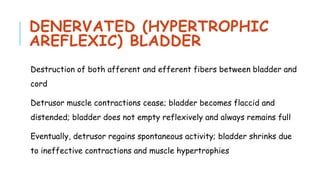 Micturation reflex | PPTX