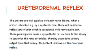 Micturation reflex | PPTX