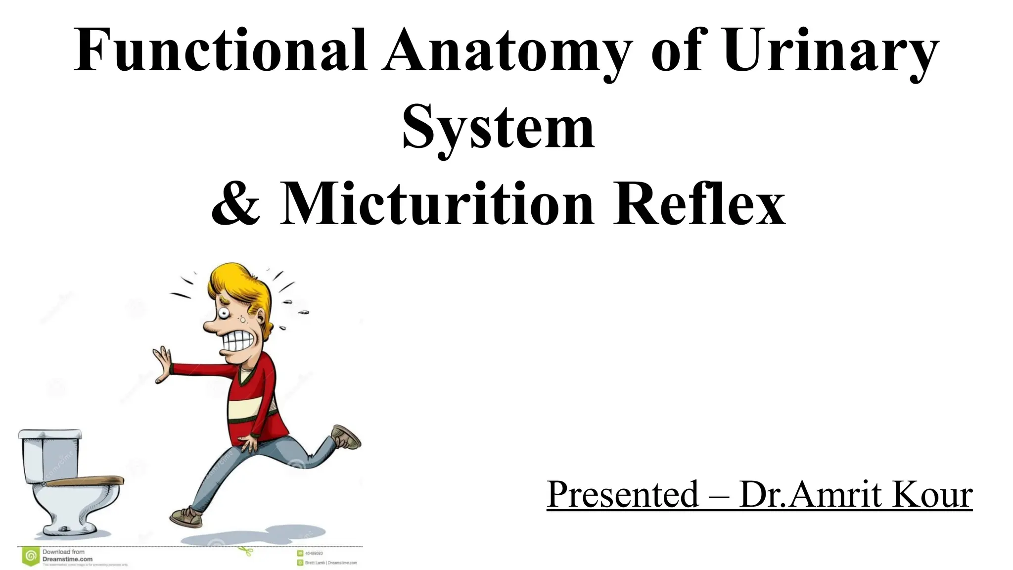 PHYSIOLOGY OF Micturation Reflex PRESNTATION | PPTX