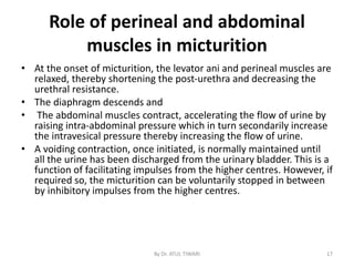 Micturation Reflex (2).pptx