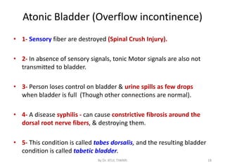 Micturation Reflex (2).pptx