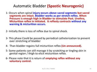 Micturation Reflex (2).pptx