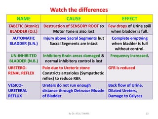 Micturation Reflex (2).pptx