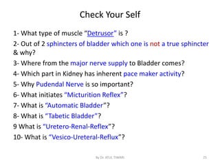 Micturation Reflex (2).pptx