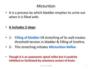 Micturation Reflex (2).pptx