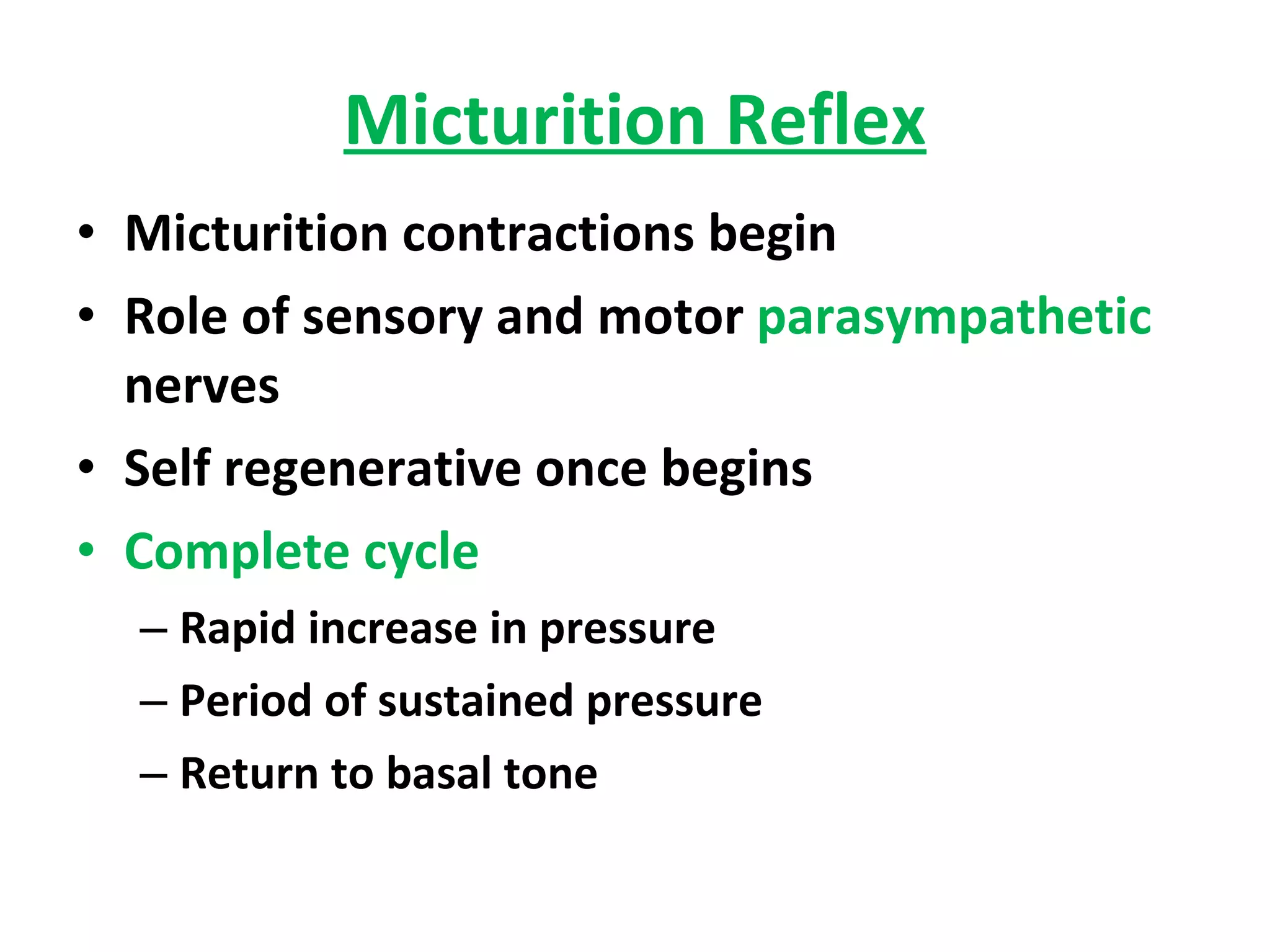 Micturation reflex by Dr Irum | PPT