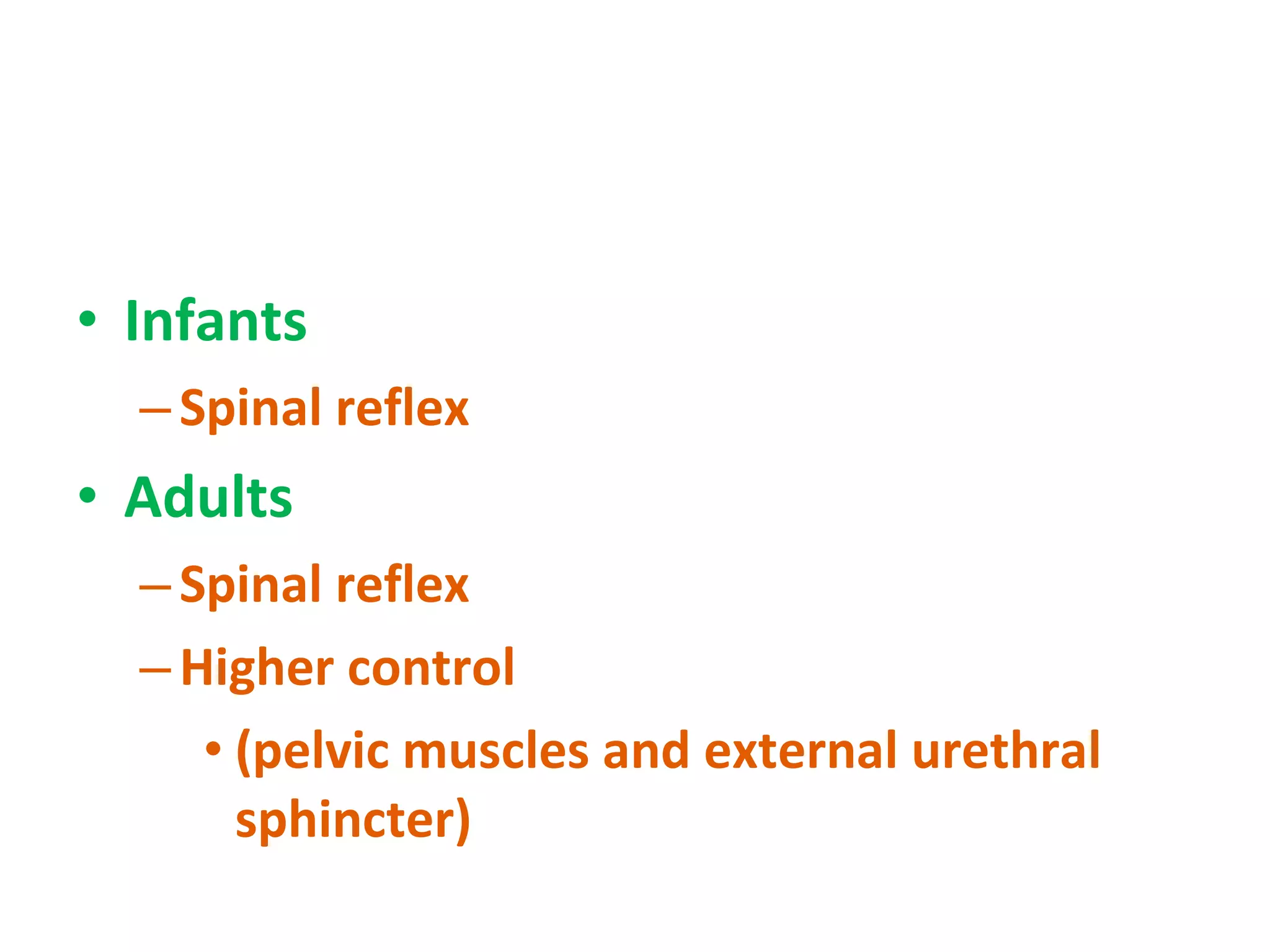 Micturation reflex by Dr Irum | PPT
