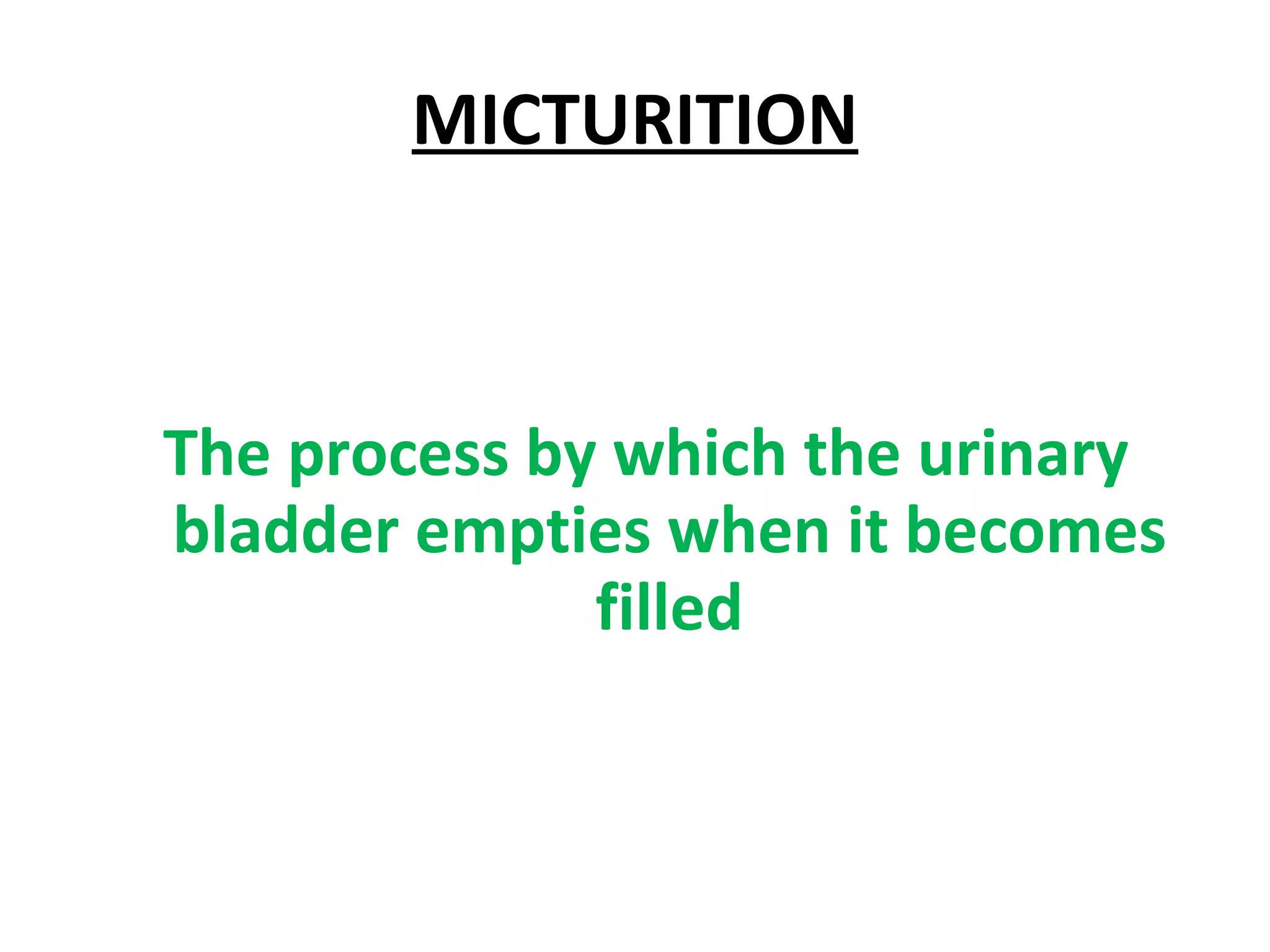 Micturation reflex by Dr Irum | PPT