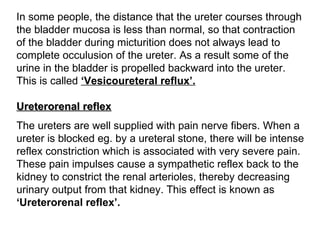 Micturation reflex by Dr Irum | PPT