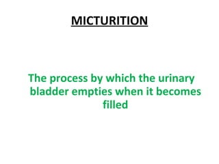Micturation reflex by Dr Irum | PPT