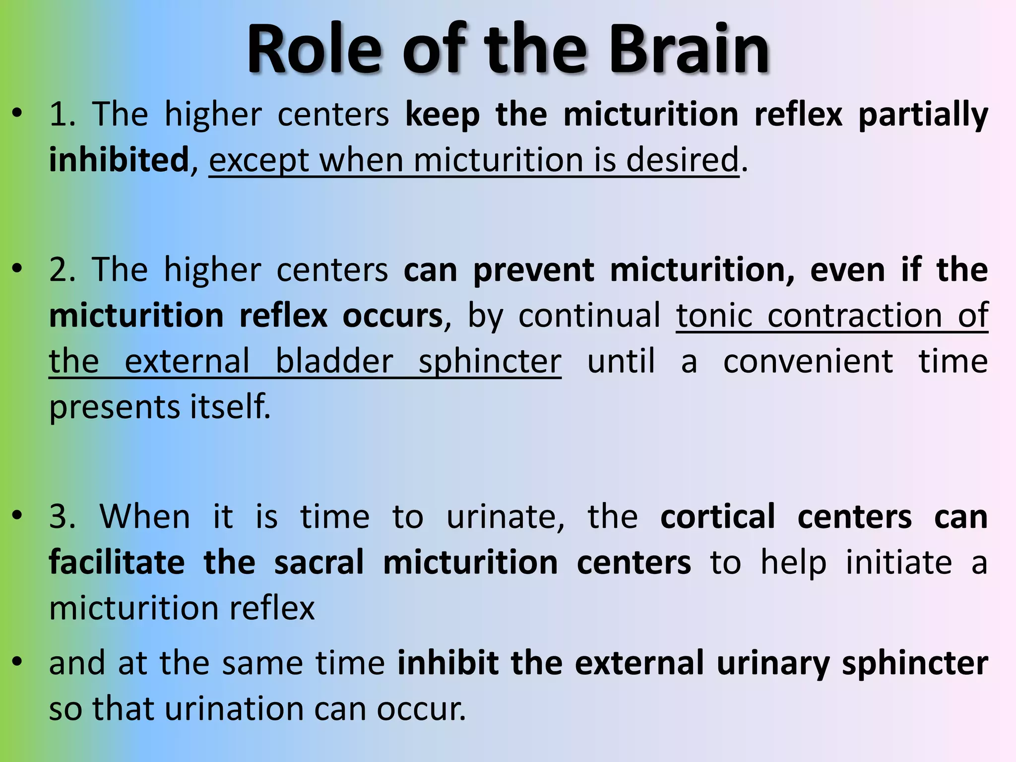 Micturition | PPTX