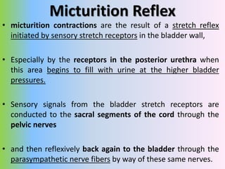 Micturition | PPTX