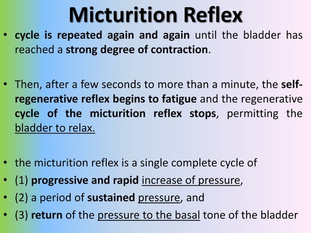 Micturition | PPTX