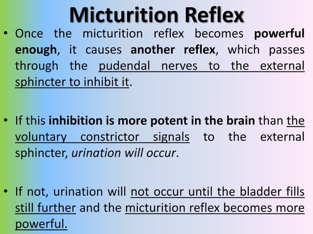Micturition | PPTX