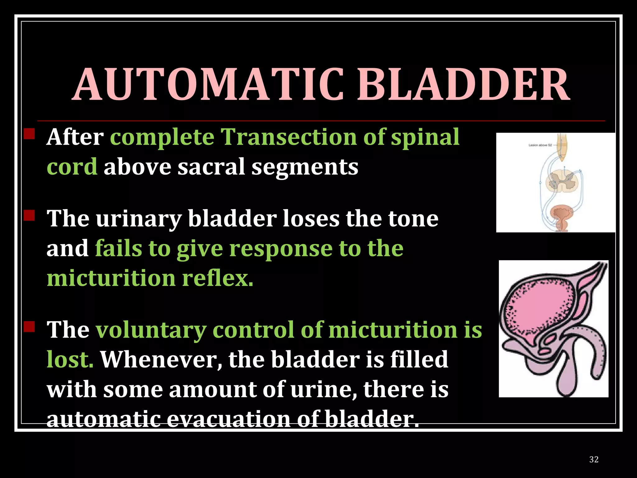 MICTURITION | PPT