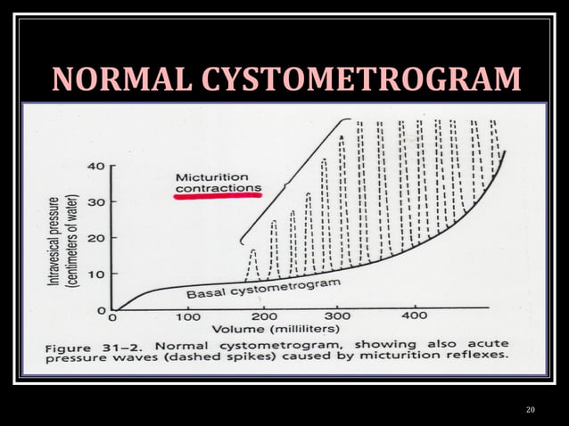 MICTURITION | PPT