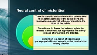 Micturition | PPSX