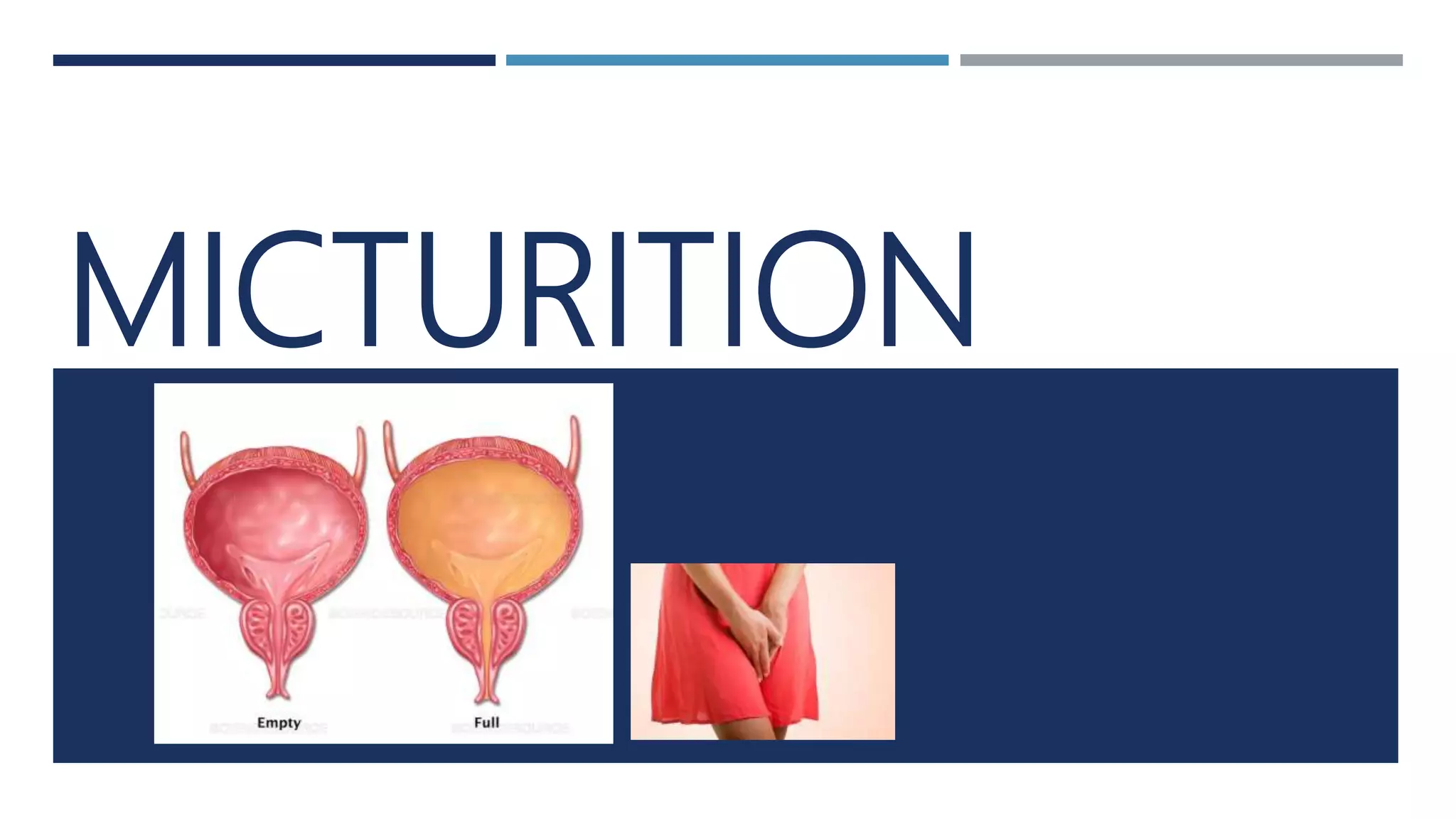Micturition | PPTX
