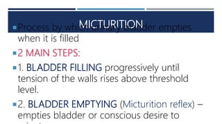 Micturition | PPTX