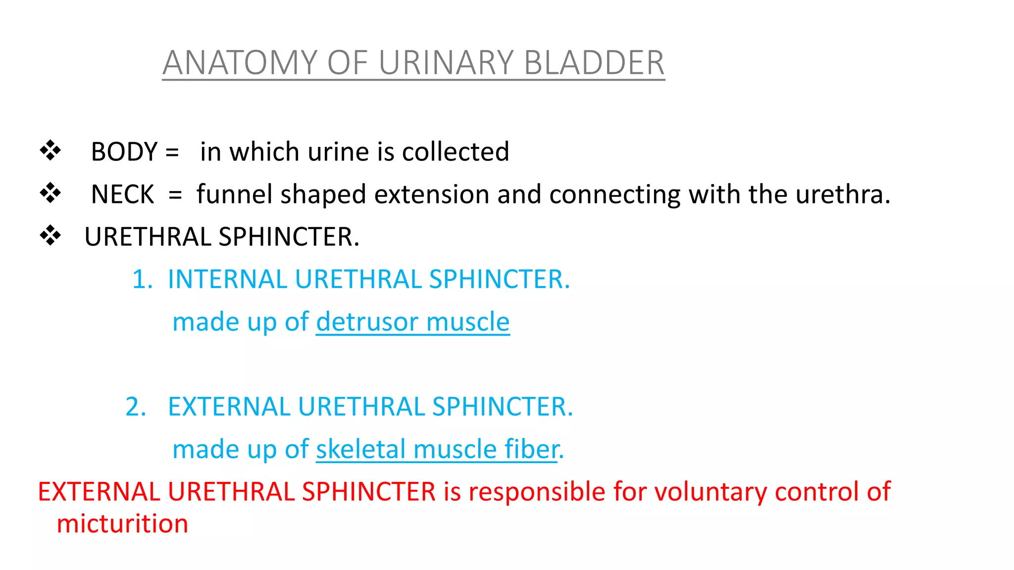 Micturition (The Guyton and Hall physiology) | PPTX
