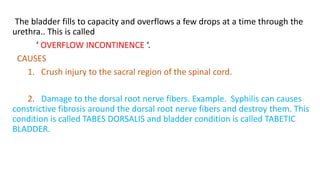 Micturition (The Guyton and Hall physiology) | PPTX