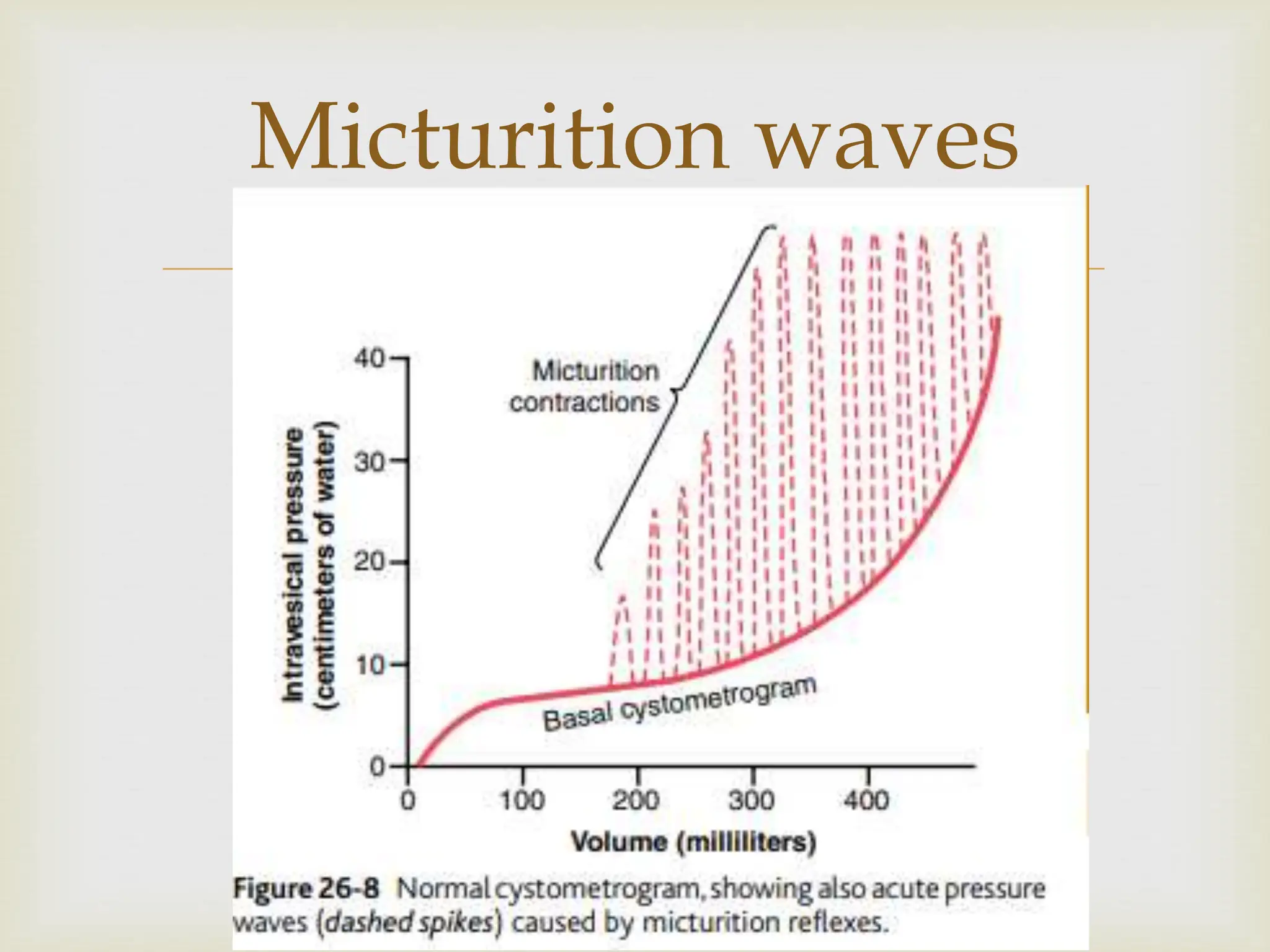 Physiology of Micturition- Cystometrogram.pptx