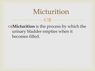 Physiology of Micturition- Cystometrogram.pptx