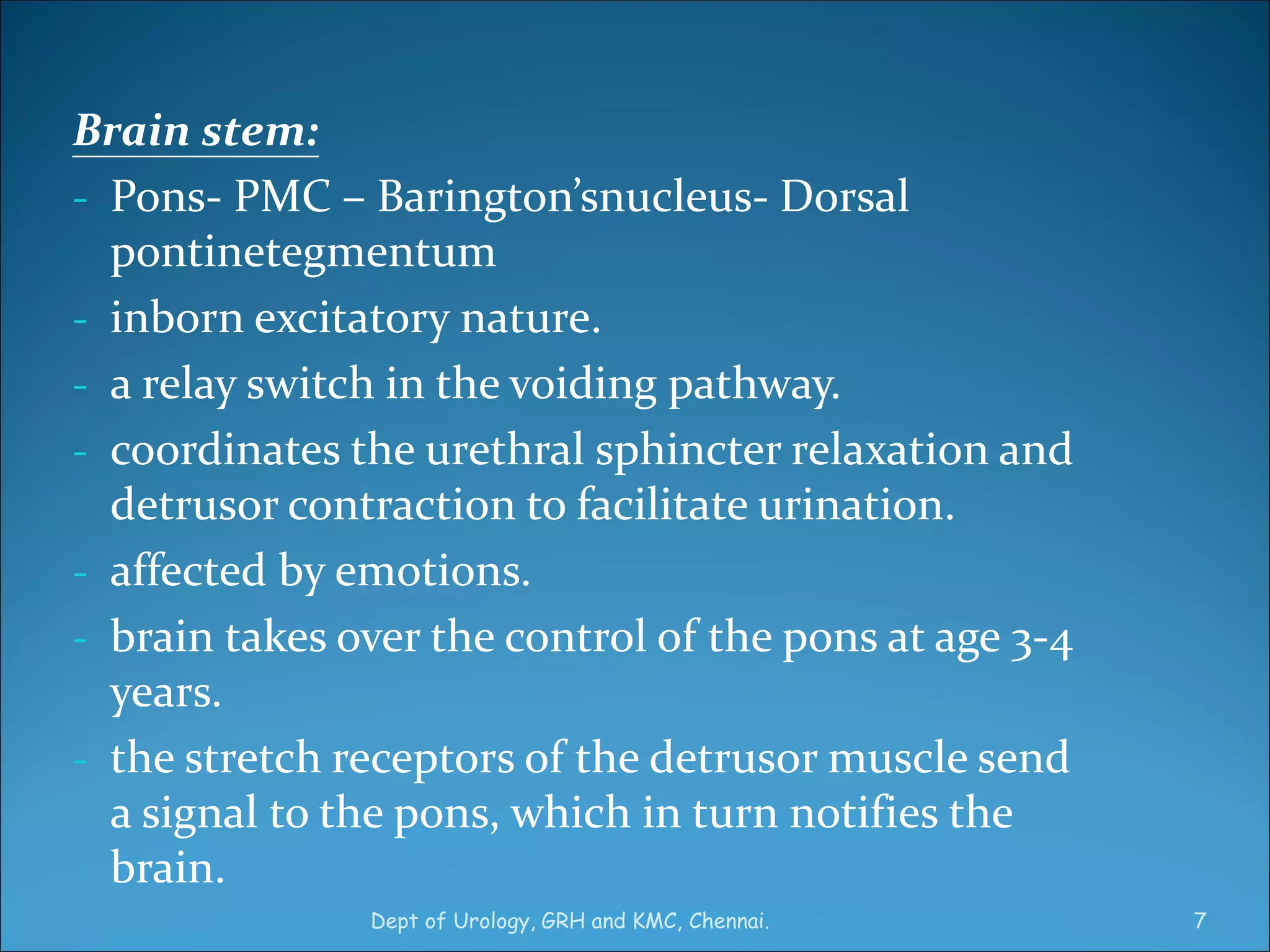 Physiology of Micturition | PDF