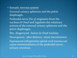 Physiology of Micturition | PDF