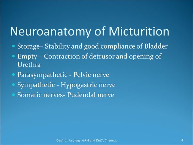 Physiology of Micturition | PDF | Brain and Nervous System Disorders | Diseases and Conditions