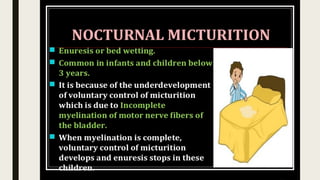 Micturition renal physiology | PDF