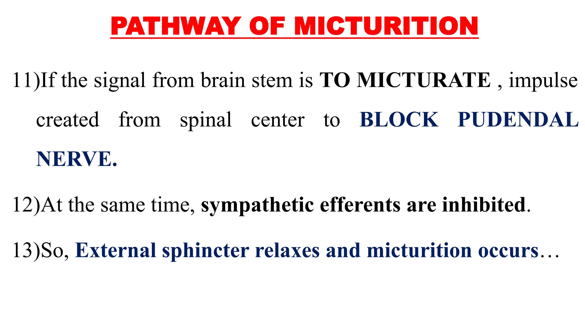 micturition and nursing implications.pptx