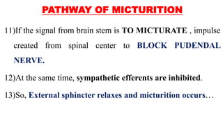 micturition and nursing implications.pptx