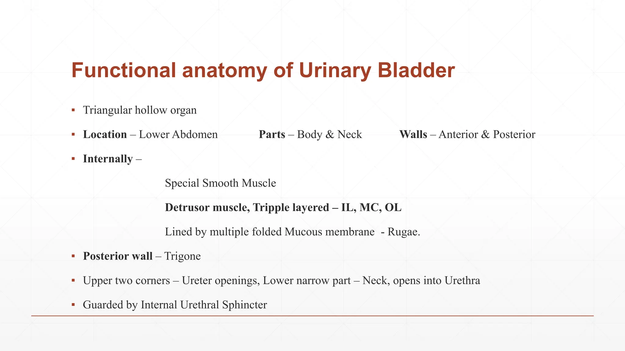 MICTURITION AND DEFECATION REFLEXES.pptx | Digestive Disorders ...