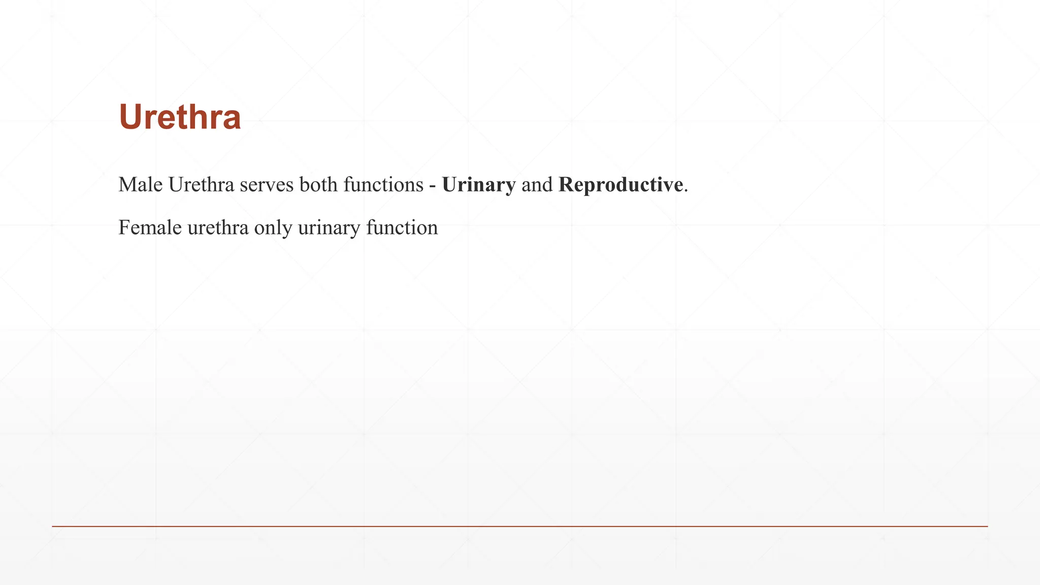 MICTURITION AND DEFECATION REFLEXES.pptx