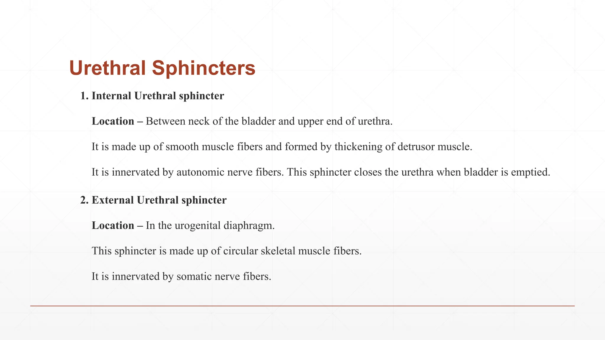 MICTURITION AND DEFECATION REFLEXES.pptx | Digestive Disorders ...