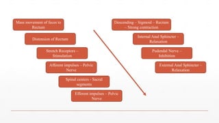 MICTURITION AND DEFECATION REFLEXES.pptx