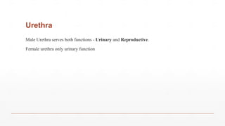 MICTURITION AND DEFECATION REFLEXES.pptx