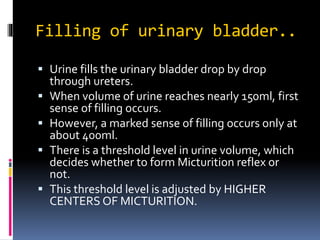 Micturition reflex | PPTX