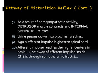 Micturition reflex | PPTX
