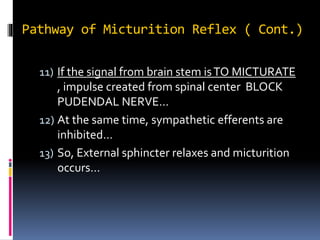 Micturition reflex | PPTX