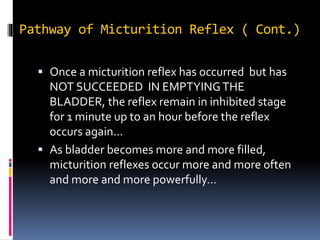 Micturition reflex | PPTX